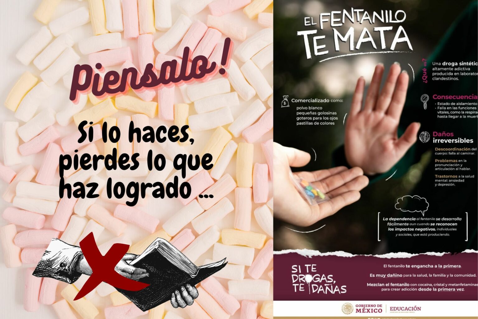 CETis80 – Centro de Estudios Tecnológicos Industrial y de Servicios No. 80